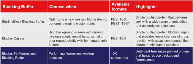 Blocker™ FL 荧光封闭缓冲液 (10X)