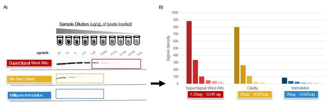SuperSignal™ West Atto Ultimate Sensitivity Substrate