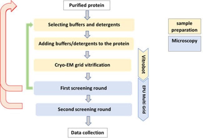 VitroEase™ Buffer Screening Kit