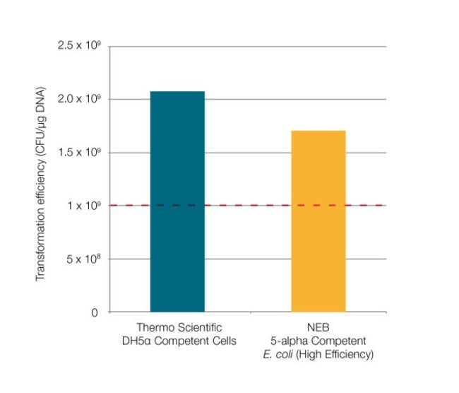 DH5α Competent Cells