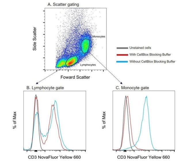 CellBlox™ Blocking Buffer