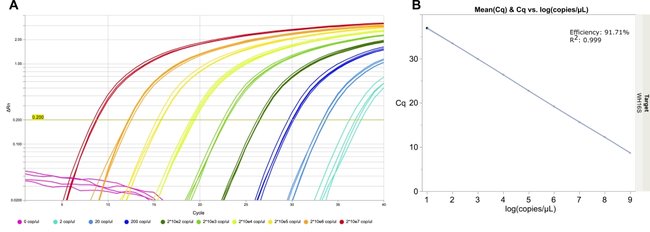 TaqPath™ BactoPure™ Microbial Detection Master Mix
