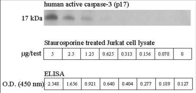 SYTOX™ Deep Red Nucleic Acid Stain, for fixed/dead cells
