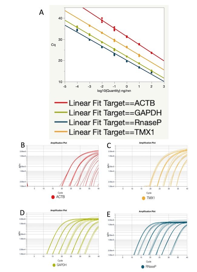 TaqMan™ Fast Virus 1-Step Multiplex Master Mix (No ROX)