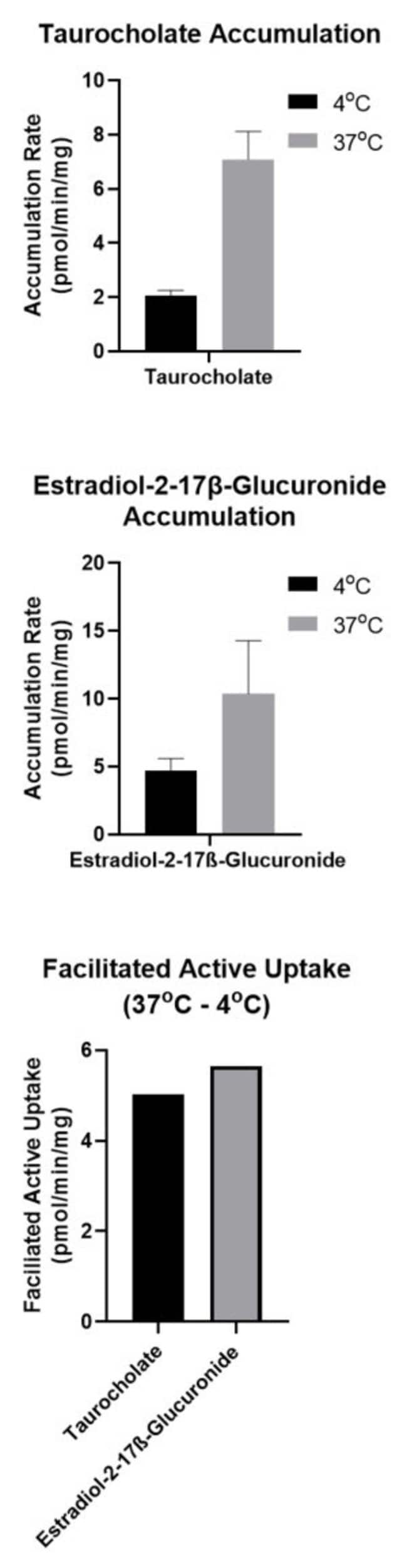 HEP10, Pooled Human Cryopreserved Hepatocytes