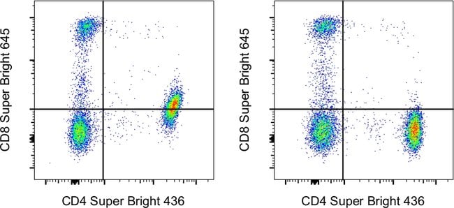 Super Bright Complete Staining Buffer, eBioscience