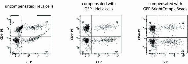 GFP BrightComp eBeads™ Compensation Bead Kit