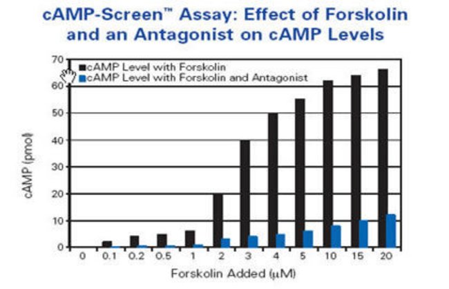 cAMP-Screen™ Assay/Lysis Buffer