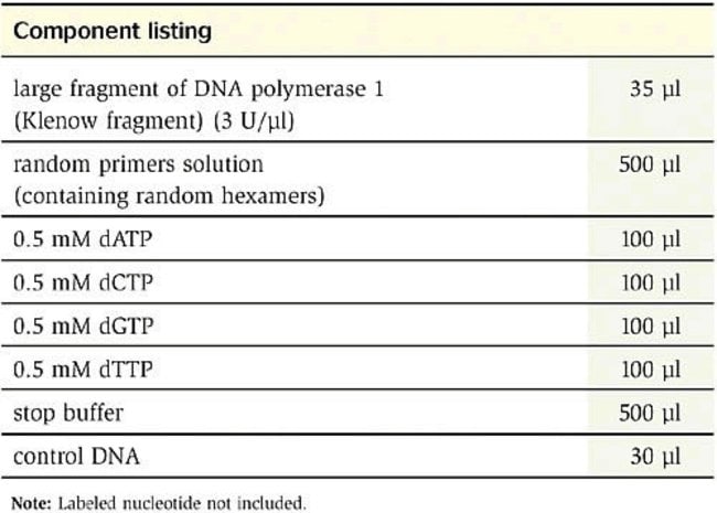 Random Primers DNA Labeling System