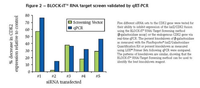 pSCREEN-iT™/ lac Z-DEST Gateway™ Vector Kit