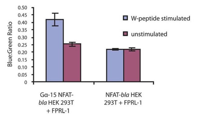 GeneBLAzer™ Gα15-NFAT- bla HEK 293T Cells