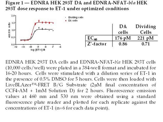 GeneBLAzer™ EDNRA HEK 293T DA Assay Kit