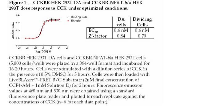 GeneBLAzer™ CCKBR HEK 293T DA Assay Kit