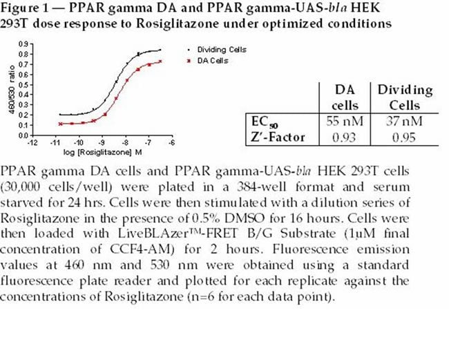 GeneBLAzer™ PPAR gamma DA Assay Kit