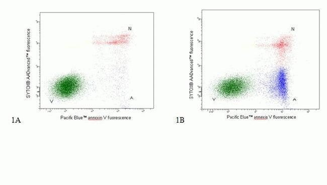 Pacific Blue™ Annexin V/SYTOX™ AADvanced™ Apoptosis Kit, for flow cytometry