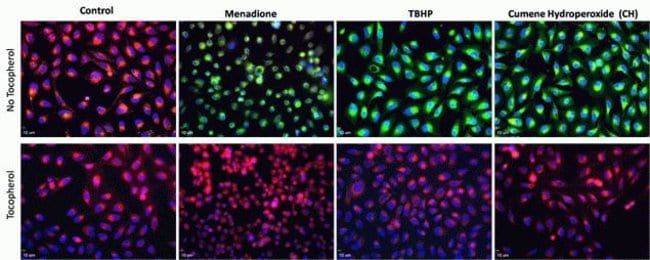 Image-iT™ Lipid Peroxidation Kit, for live cell analysis