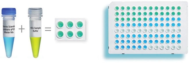 Luminaris Color HRM qPCR Master Mix