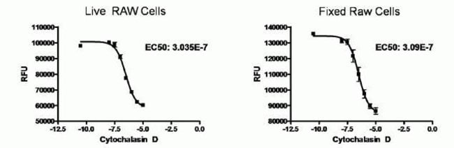用于吞噬研究的 pHrodo™ Red Zymosan Bioparticles™ 偶联物