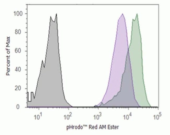 pHrodo™ Red AM Intracellular pH Indicator