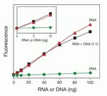 Qubit™ RNA HS Assay Kit