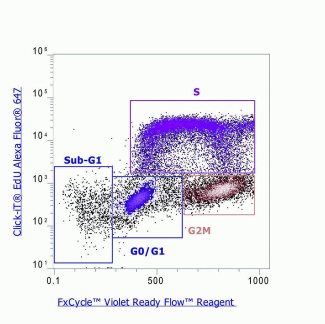 FxCycle™ Violet Ready Flow™ 试剂