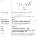 DAPI (4',6-diamidino-2-phenylindole, dihydrochloride)