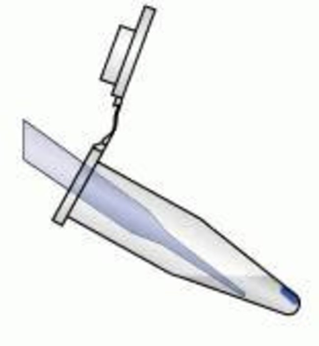 GlycoBlue™ Coprecipitant (15 mg/mL)