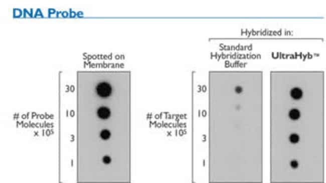 ULTRAhyb™超灵敏杂交缓冲液