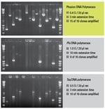 Phusion™ High-Fidelity DNA Polymerase (2 U/µL)