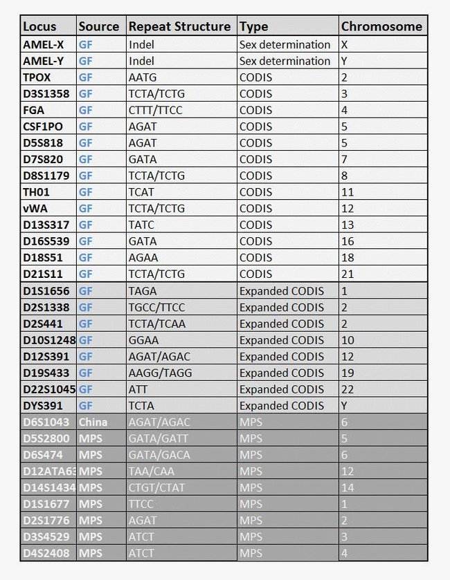 Precision ID GlobalFiler NGS STR Panel - Thermo Fisher Scientific