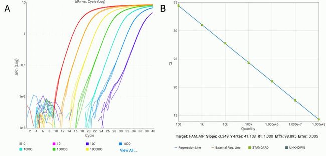 TaqPath™ 1-Step Multiplex Master Mix