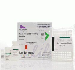 Magnetic Bead Purification Module