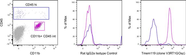Tmem119 Antibody, PE (12-6119-82)