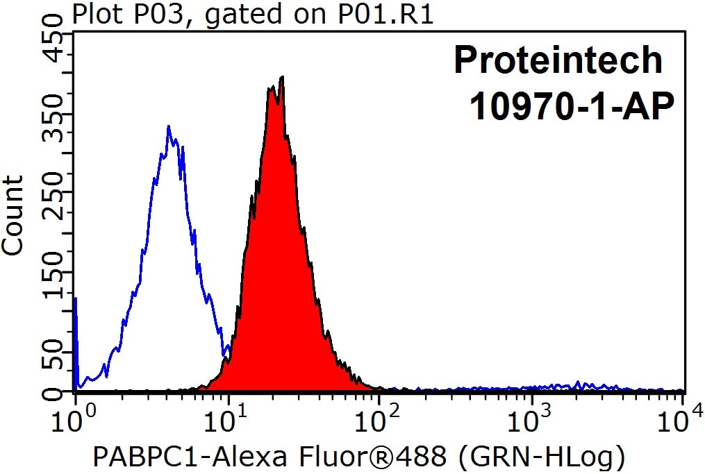 PABPC1/PABP Antibody (10970-1-AP)