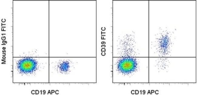 Anti-CD39 Antibodies | Invitrogen