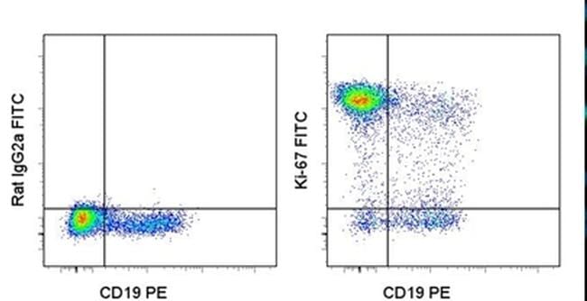 Ki-67 Antibody, FITC (11-5698-82)