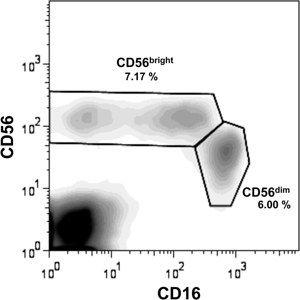 CD16 Antibody, PE (12-0168-42)
