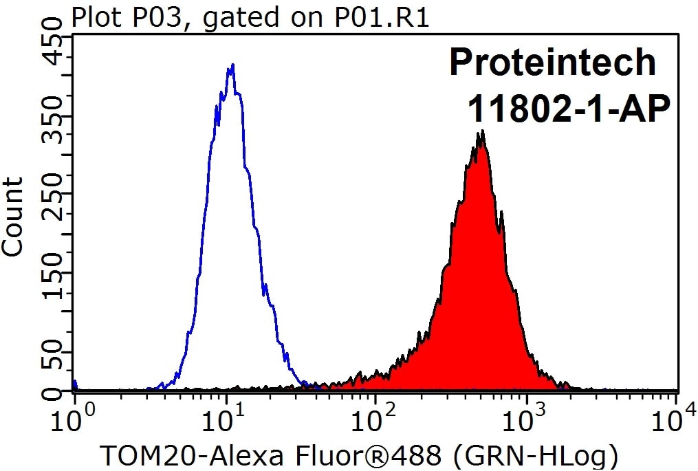 TOM20 Antibody (11802-1-AP)