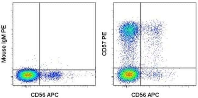 CD57 Antibody, PE (12-0577-42)