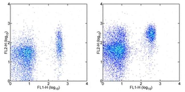 CD197 (CCR7) Antibody, PE (12-1971-63)