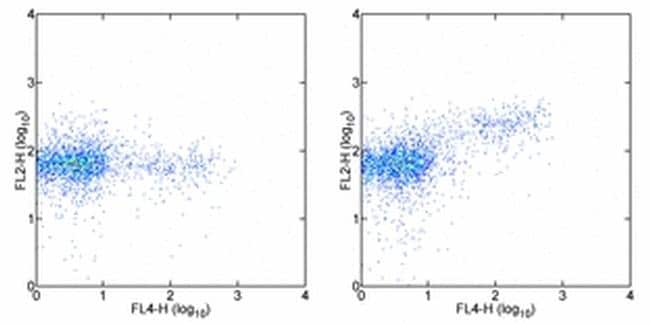 FOXP3 Antibody, PE (12-4774-42)
