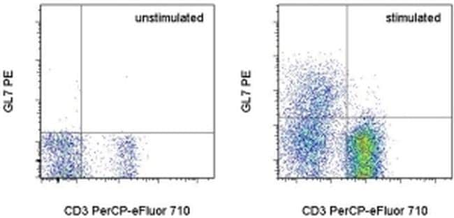 GL7 Antibody, PE (12-5902-82)