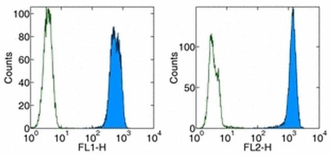PCNA Antibody, PE (12-9910-42)