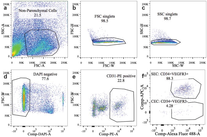 CD31 (PECAM-1) Antibody, PE (Monoclonal, 390)