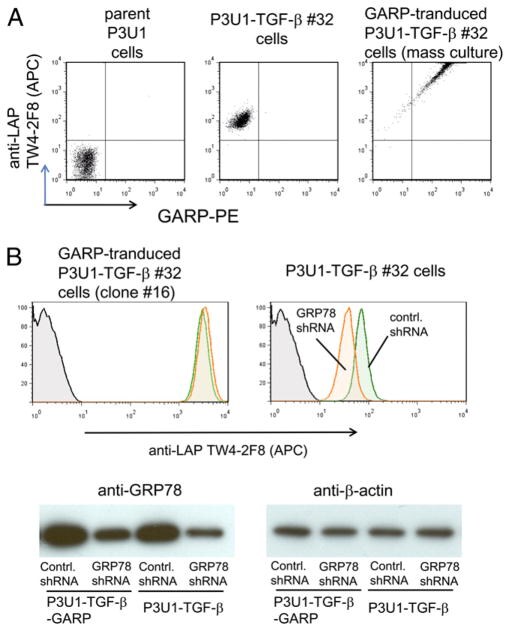 GARP Antibody, APC (17-9891-82)
