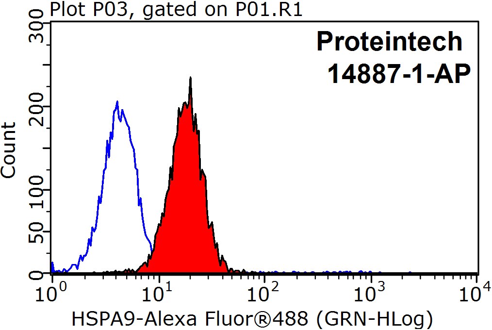 GRP75 Antibody (14887-1-AP)