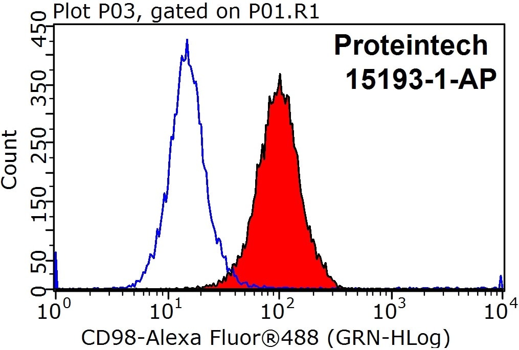 CD98 Antibody (15193-1-AP)