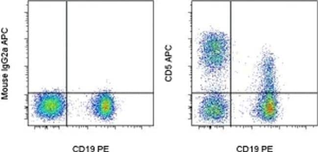 Anti-CD5 Antibodies | Invitrogen