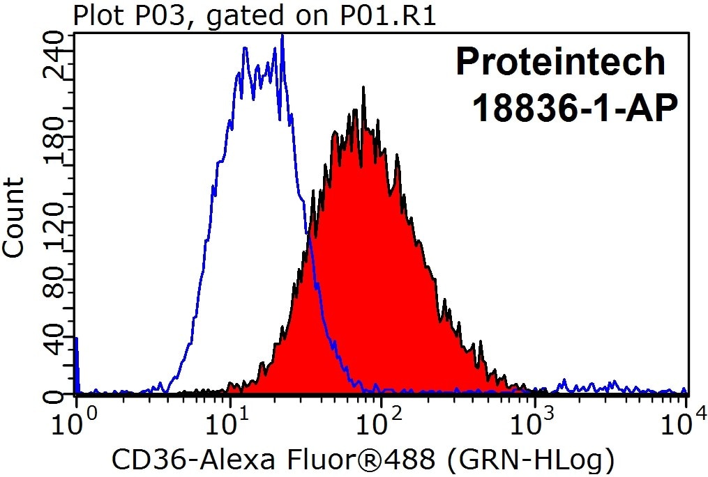 CD36 Antibody (18836-1-AP)