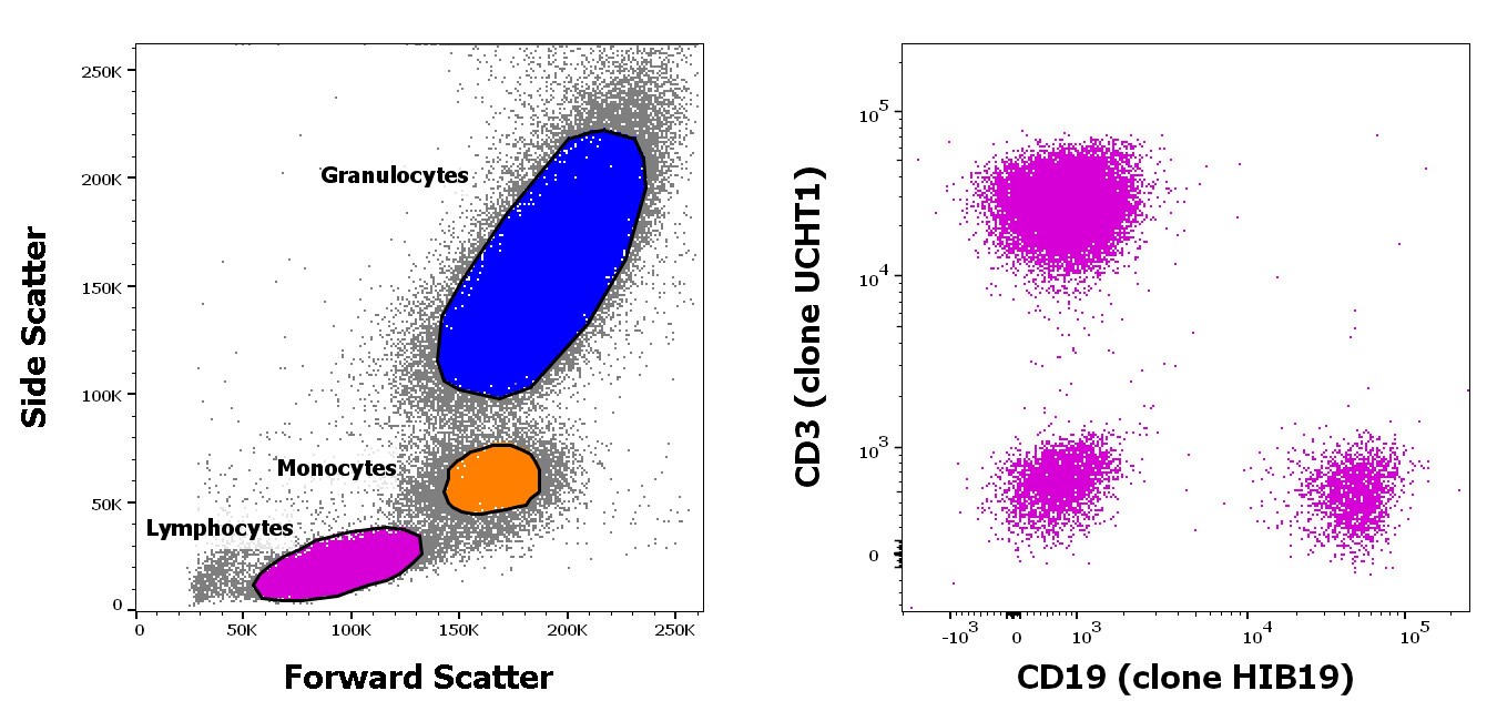 CD3/CD19 Antibody, FITC, PE (22-1903-72)